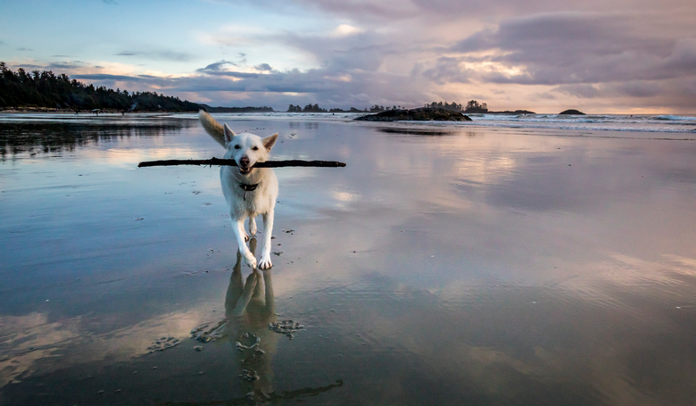 Parakletos - Nedeľné homílie - Katolícke noviny