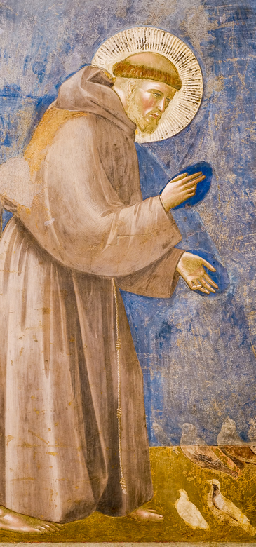 Krása Františkových jasličiek je aj naša - Téma - Katolícke noviny